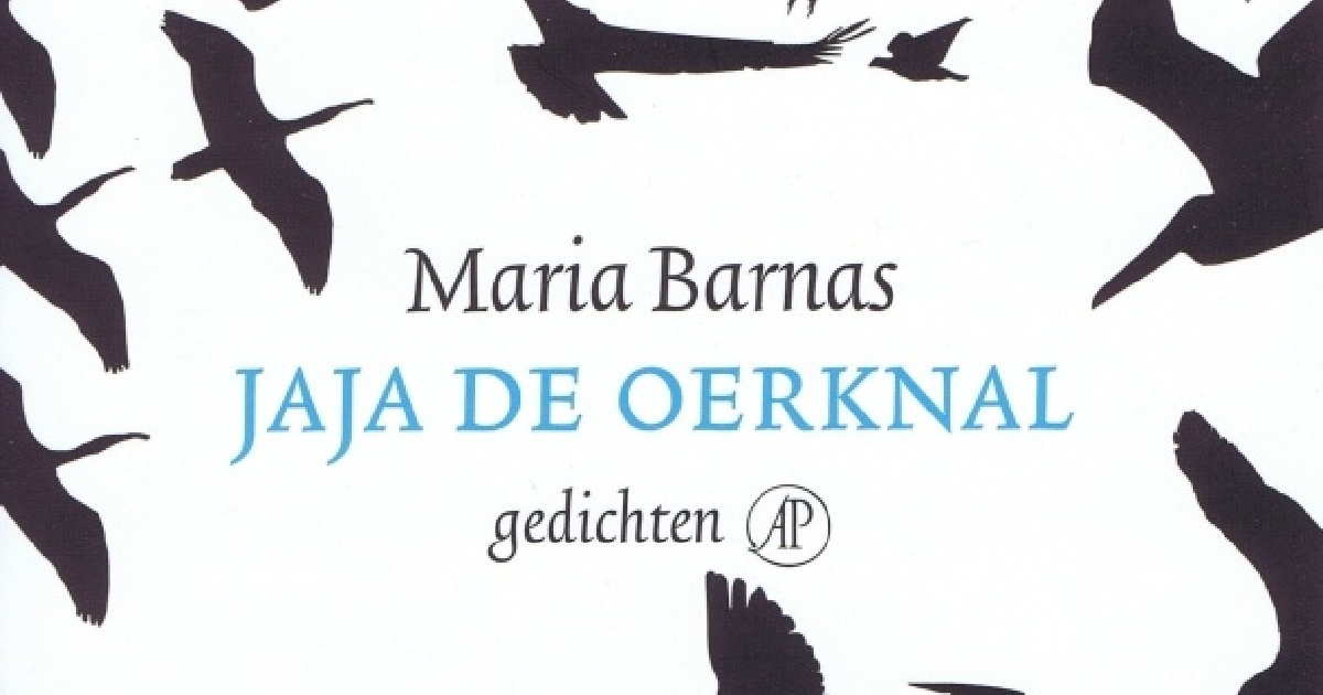 Maria Barnas - Publications | Annet Gelink Gallery